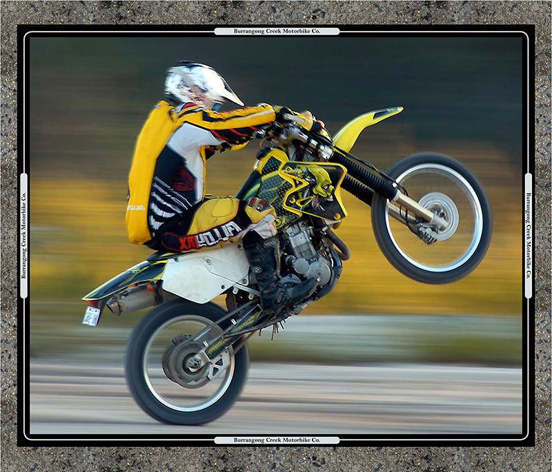 Panels | whateverwhereever