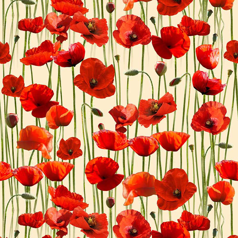 Whatever Where-ever Craft – The little shop with the big heart ...