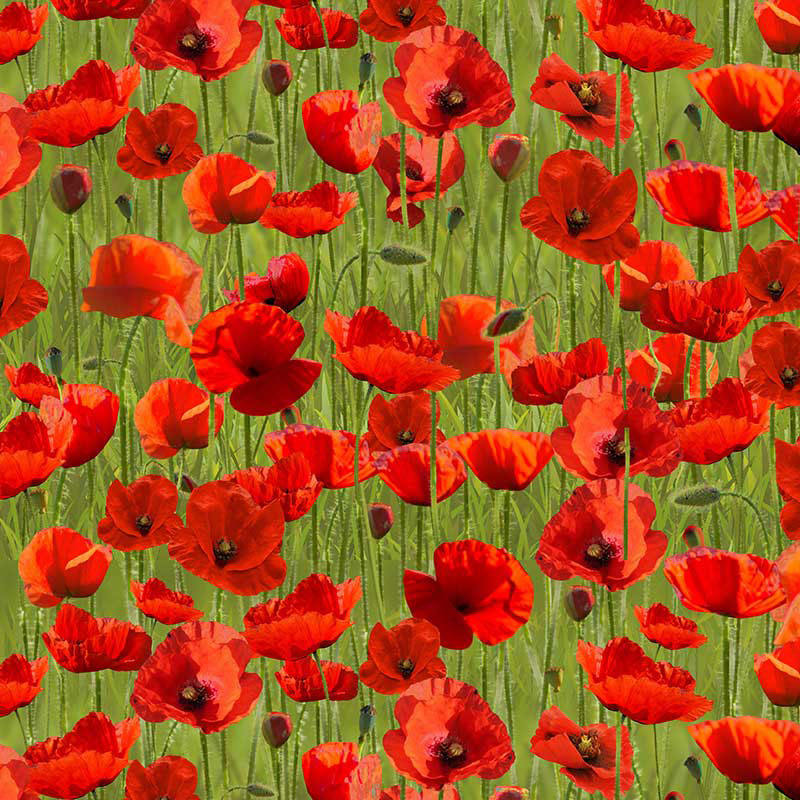 Whatever Where-ever Craft – The little shop with the big heart ...